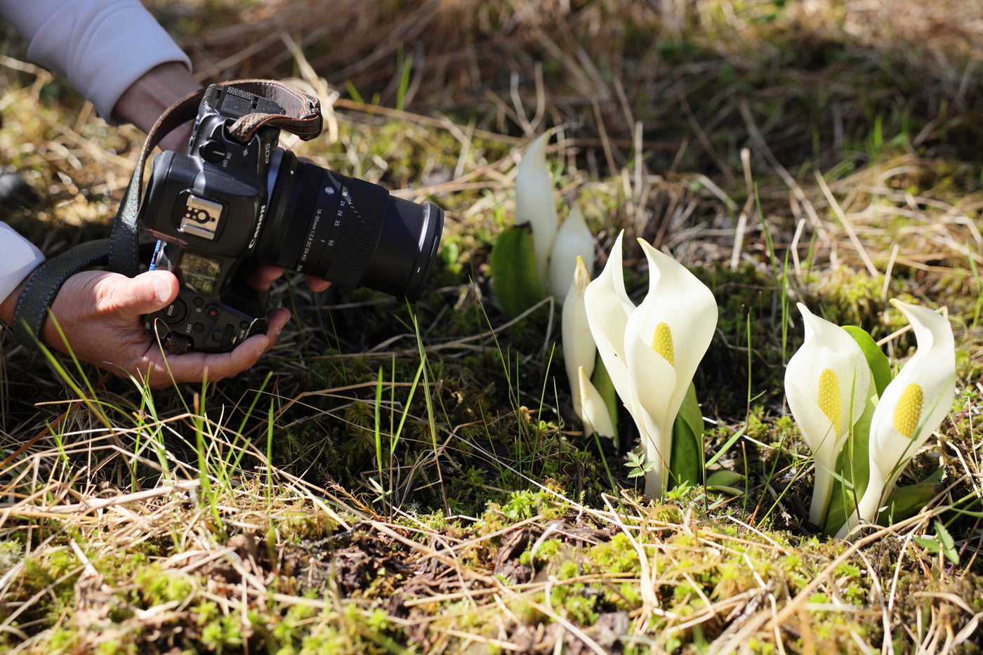 Gentec International